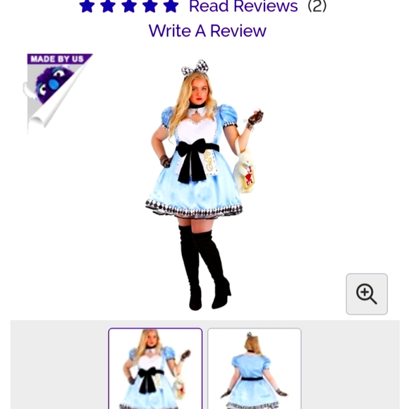 Halloween Costumescom Other Deluxe Alice Halloween Costume Poshmark